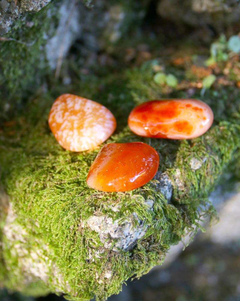 Cornalina - (10-15mm) Paixão e Sexualidade
